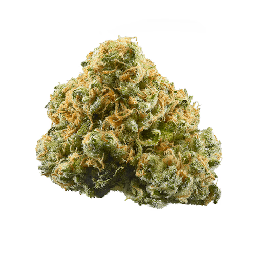 Oatmeal Cookies Strain — Effects, Flavors & Growing ... — Strain Guide